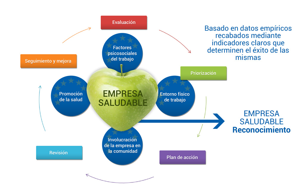 LA IMPORTANCIA DE CREAR UNA EMPRESA SALUDABLE - AC Prevención